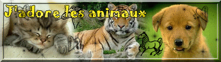 j' aimes les animaux